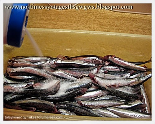 Marinated anchovy (gavro type fish) | deliciousrecipesofgogo