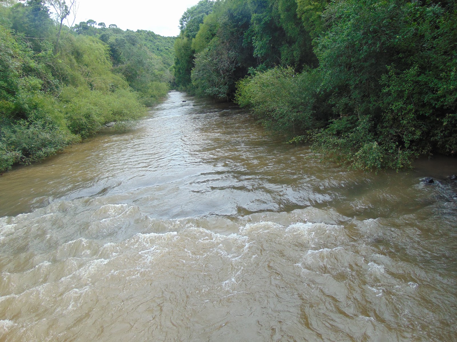 Projeto Viva o Rio Braga é destaque na semana do meio Ambiente em ...