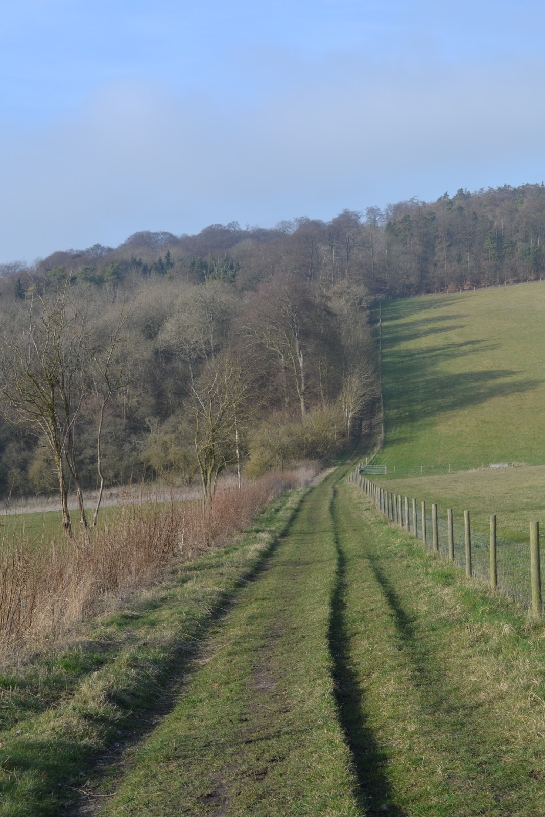 Walks among Flowers: Oxfordshire: Ewelme to Maidensgrove: Ancient ...