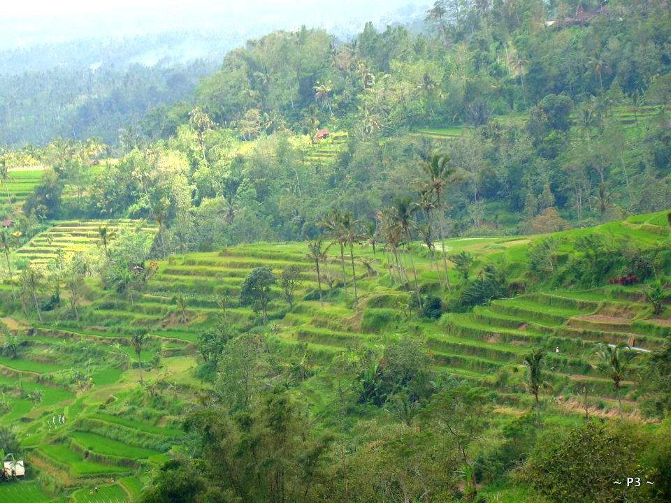 P3's Travel Dazzle: 6 days in # BALI,Indonesia - Arts, Culture, Peace