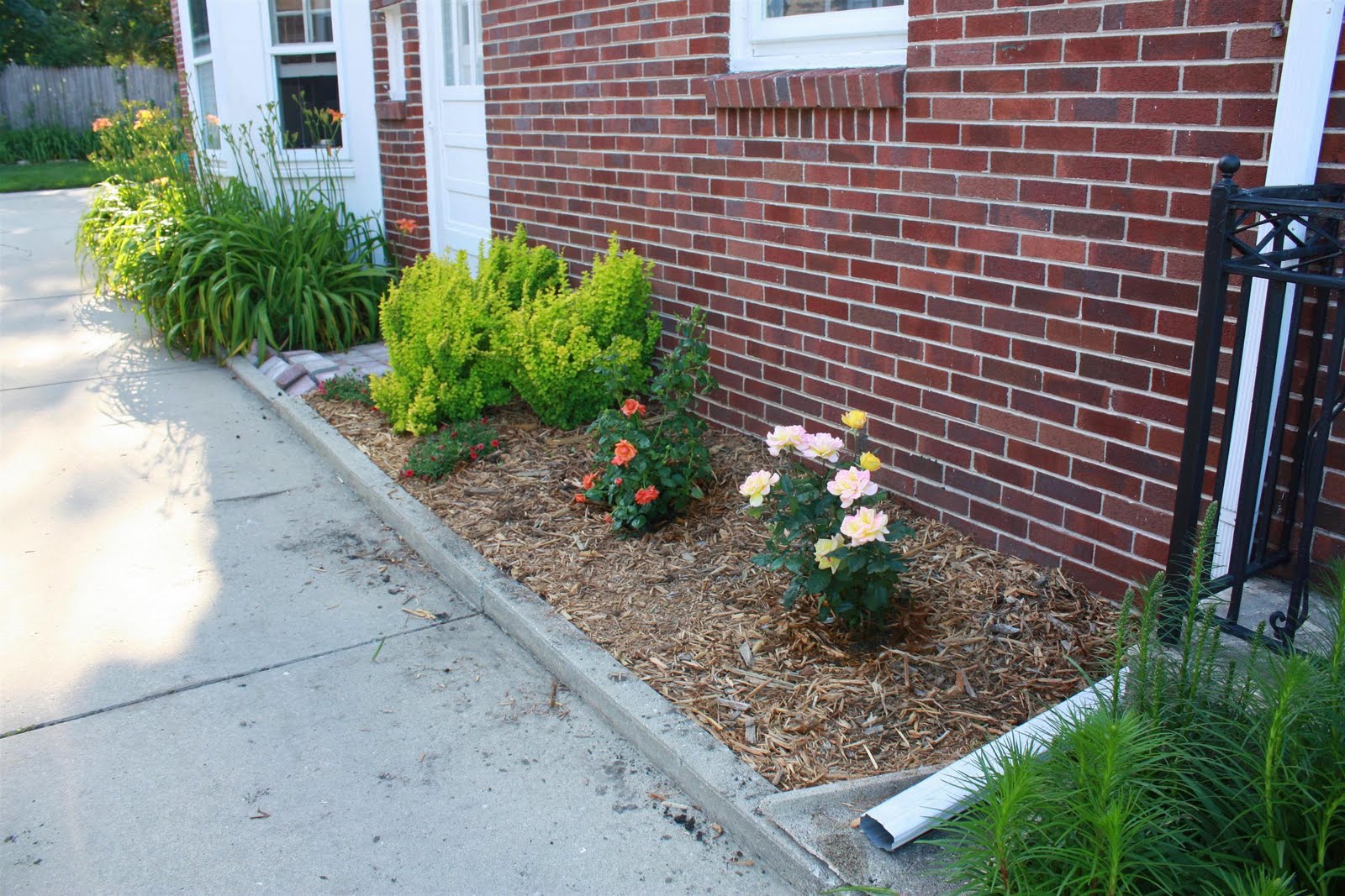 Russet Street Reno: New Roses
