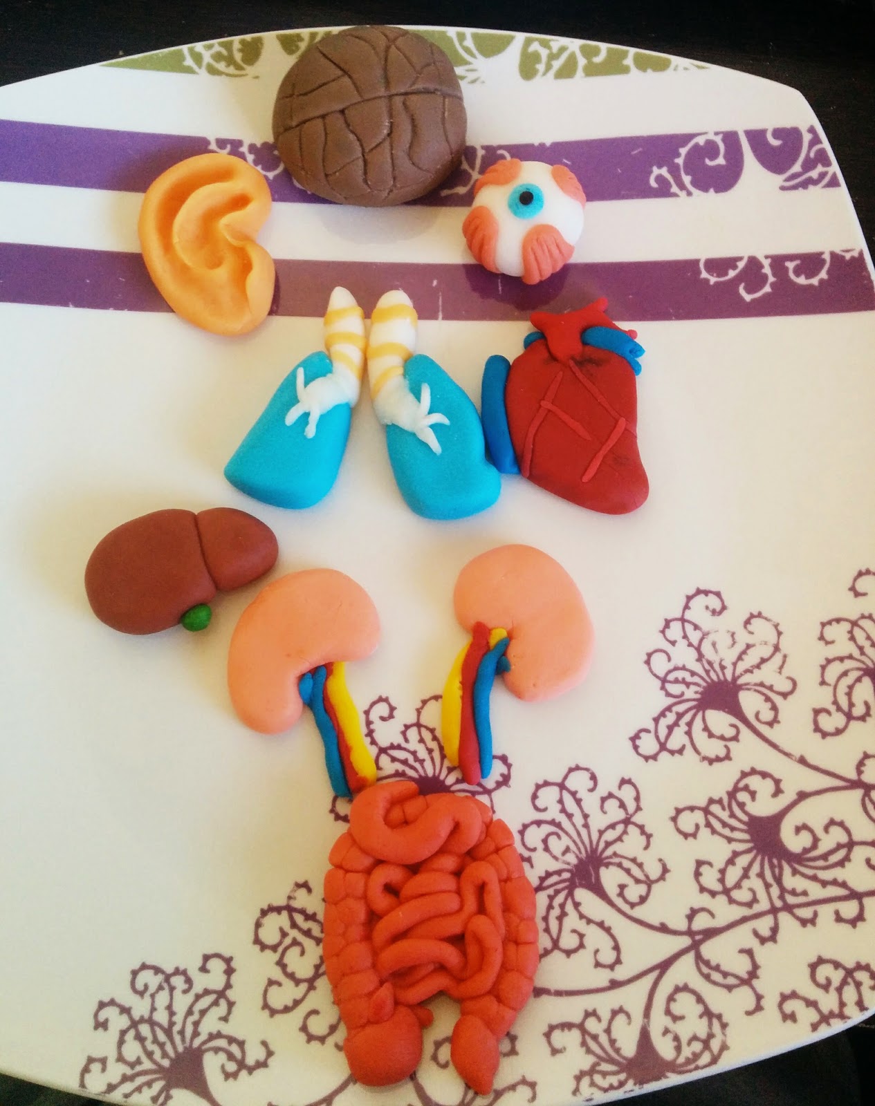 Recipe (My Additional Piece): Anatomy Organ Cupcakes