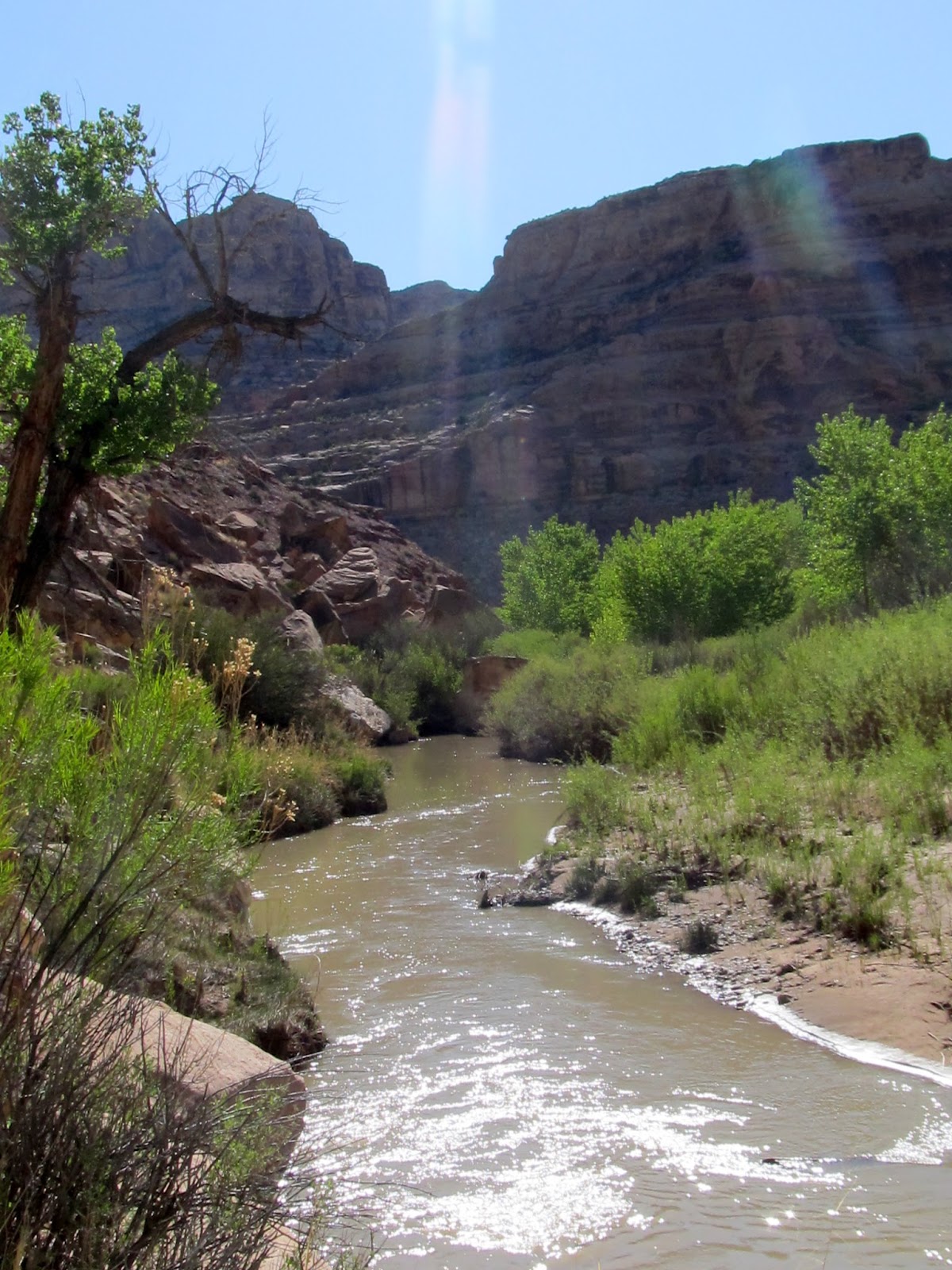 Janie and Steve, Utah Trails: Rock Art along the San Rafael River