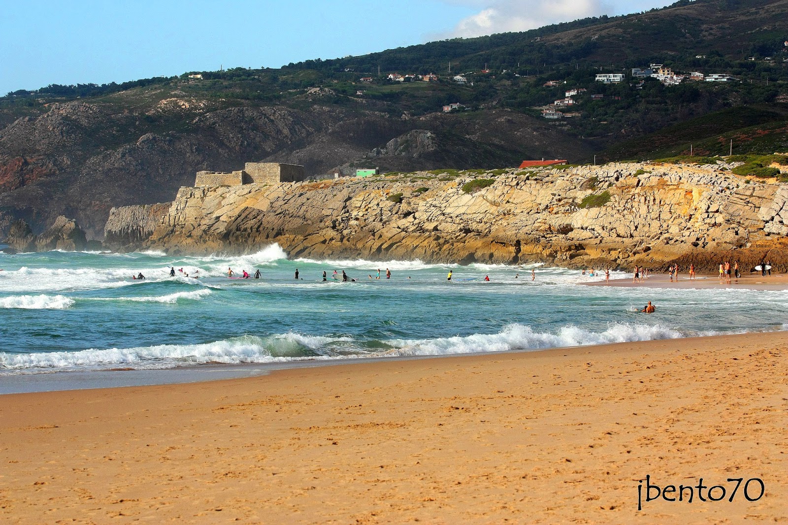 Birding Cascais: Borrelho-de-coleira-interrompida / Kentish Plover ...