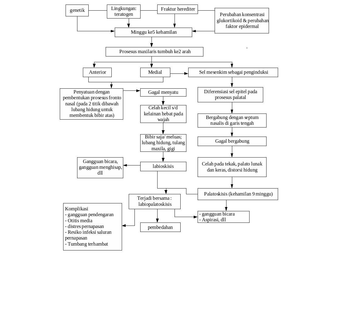 asuhan keperawatan labiopalatoskiziz: asuhan keperawatan labiopalatoskizis