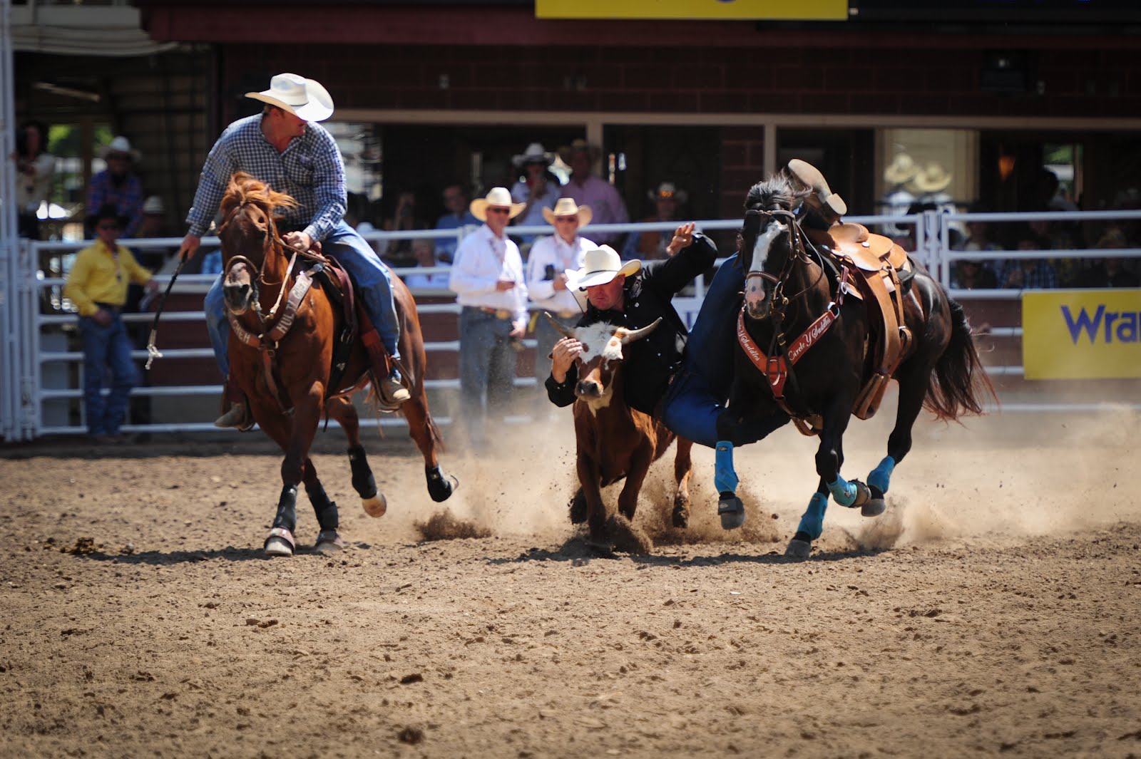Ross Dance Photography: Calgary Stampede Rodeo