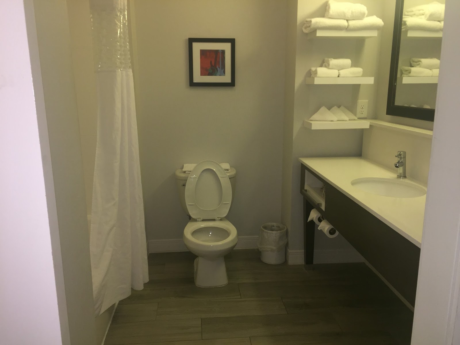 Travel Reviews & Information: White House, Tennessee / Hampton Inn