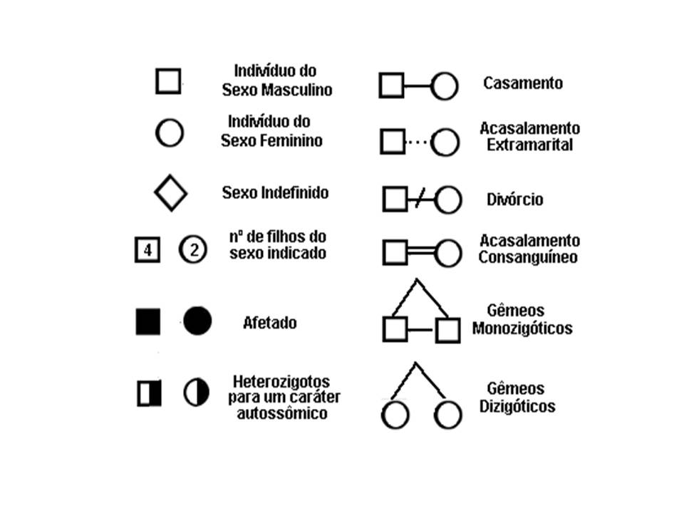 AULA GENÉTICA - 3º ANO