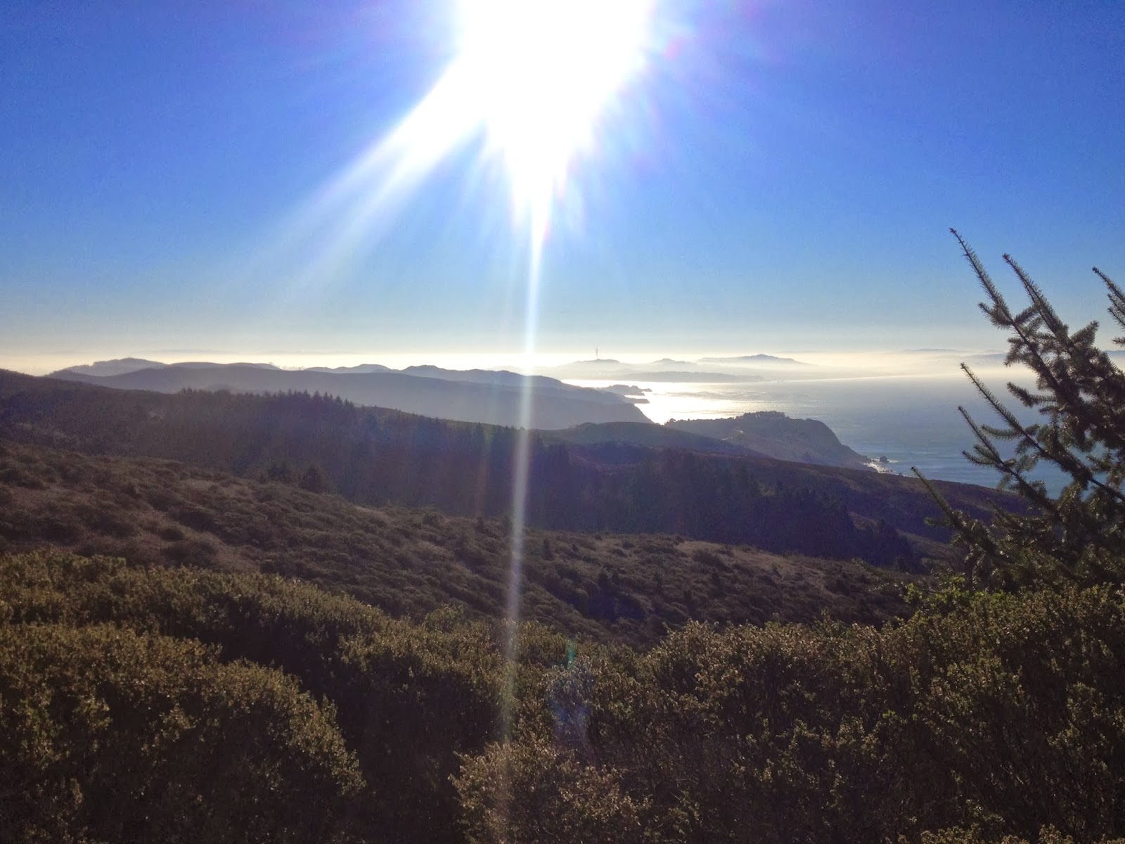 tangled sprites: Steep Ravine Marathon