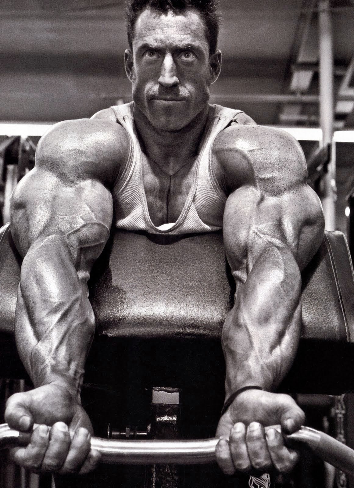 the beauty of male muscle: Erik