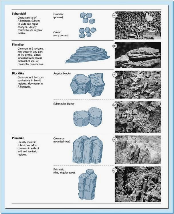 BELAJAR GEOGRAFI INDONESIA: Warna, Struktur dan Tekstur Tanah