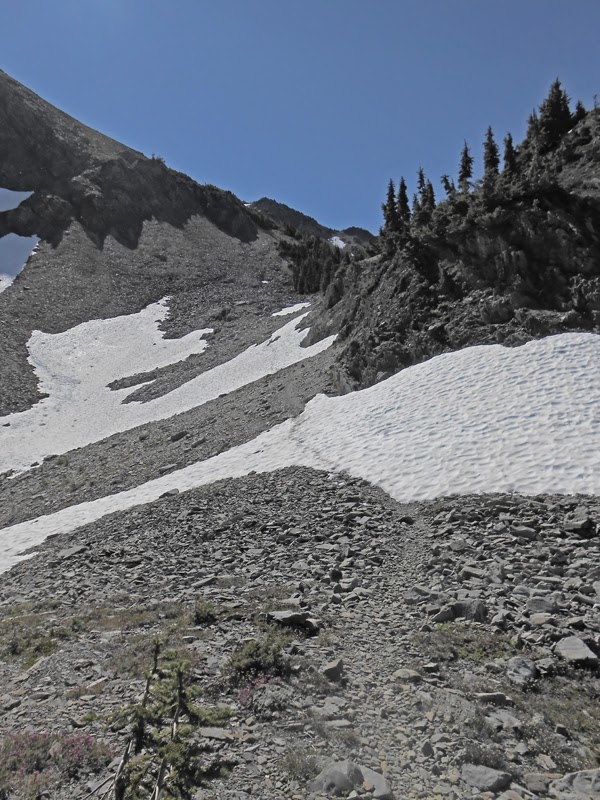 Val-Di-Ree: Obstruction Point to Dosewallips River, July 23-26, 2013