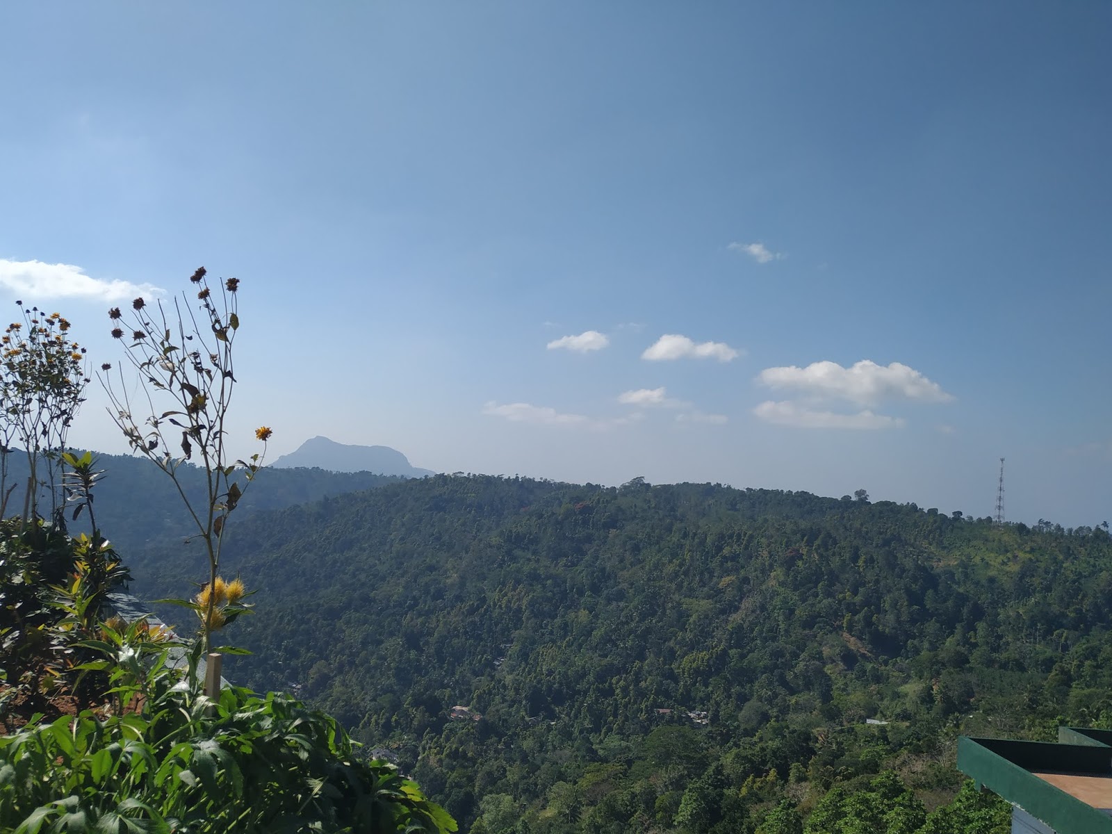 Nelligala International Buddhist Centre