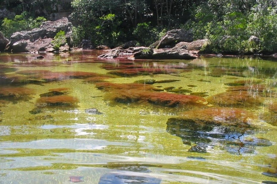 Liquid Rainbow ~ Nature Conservancy