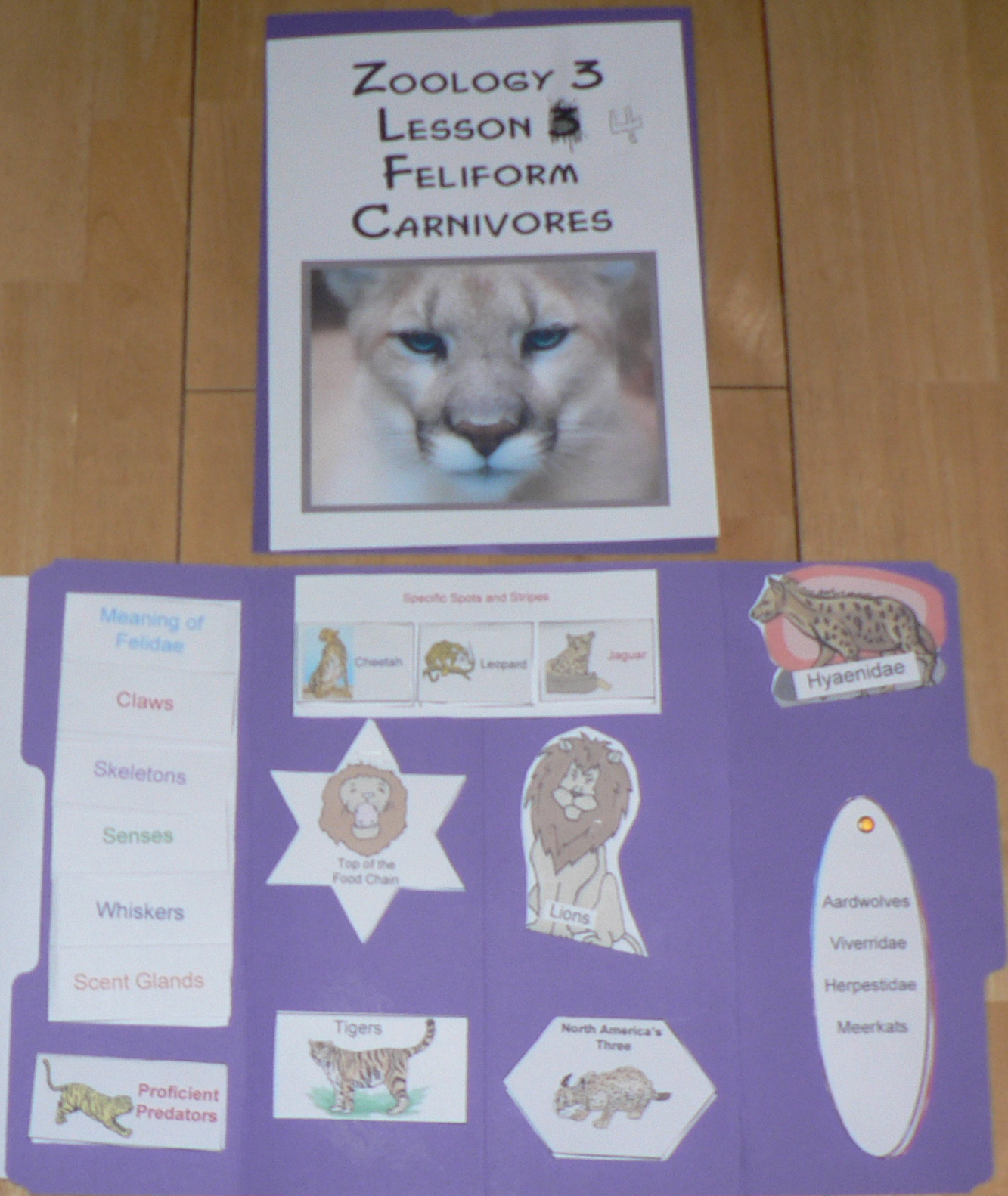 Walking by the Way: Our Zoo 3 Lapbooks by A Journey Through Learning