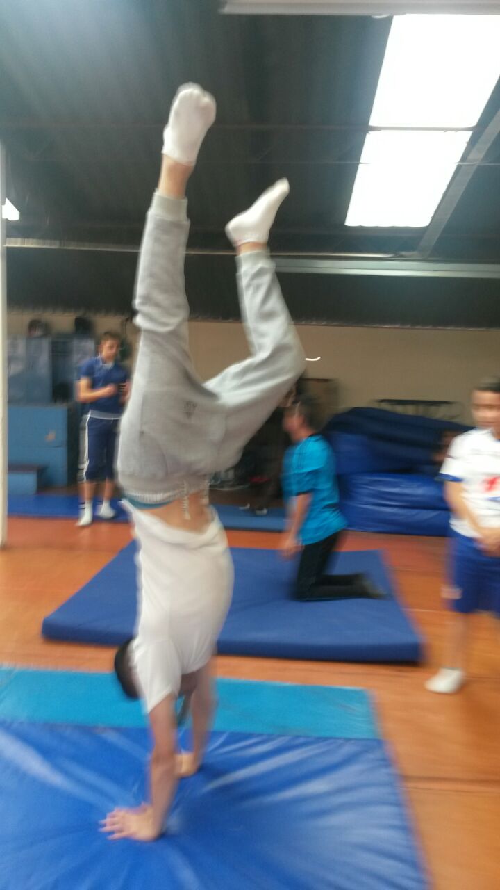 Pedagogia y didáctica de la gimnasia: PARADA DE MANOS