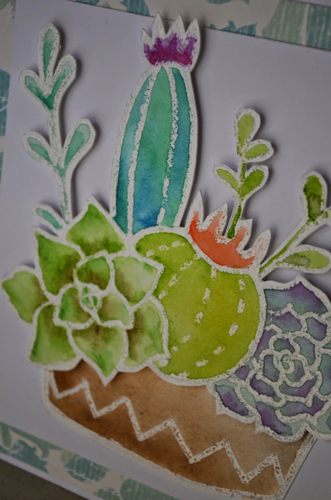 Cactus Birthday Card ~ Stuff and Spice