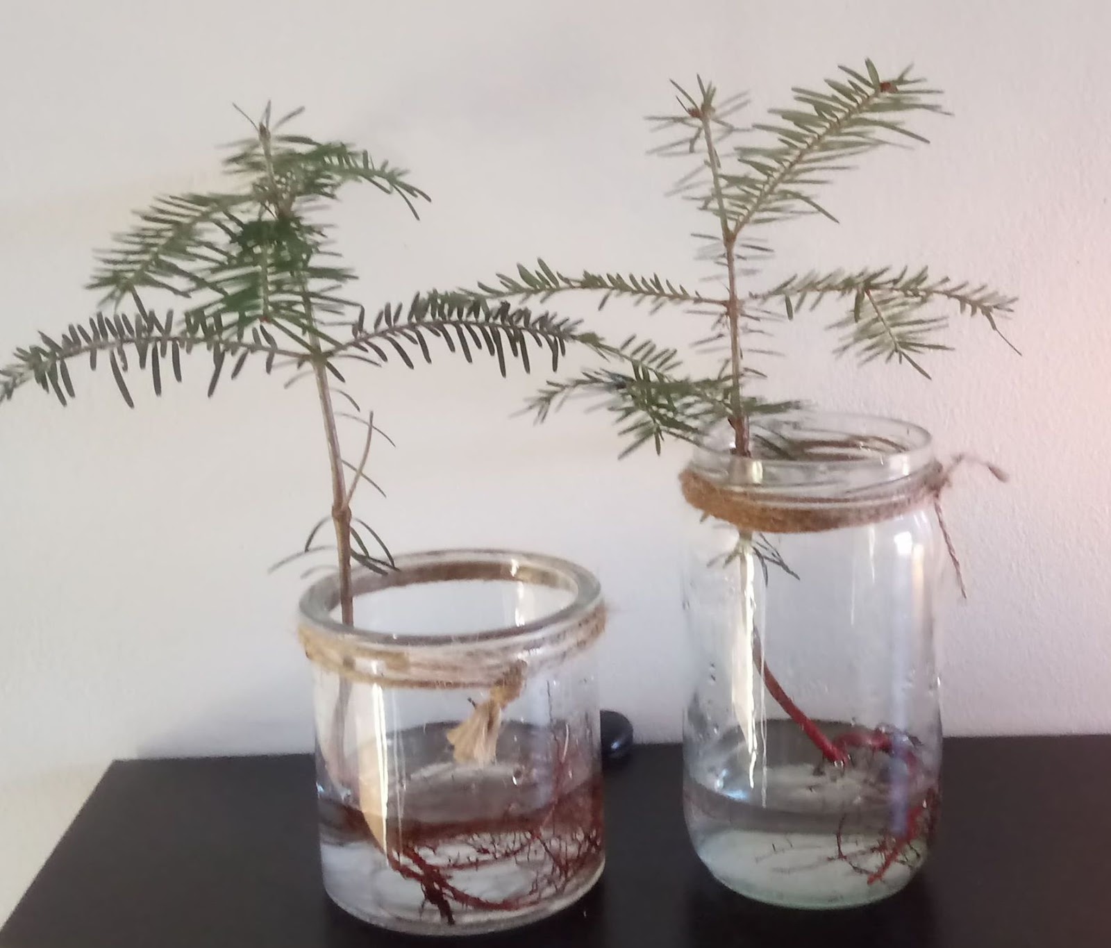 Fredes: Grøn og enkel julepynt