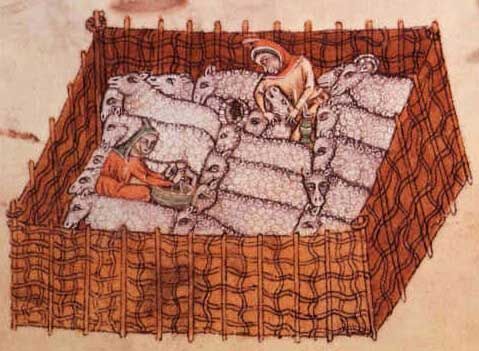 Glastonbury Farm: Life on a Small Holding- Medieval vs. Modern