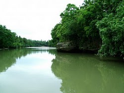 Inabanga, Bohol, Philippines: Inabanga River