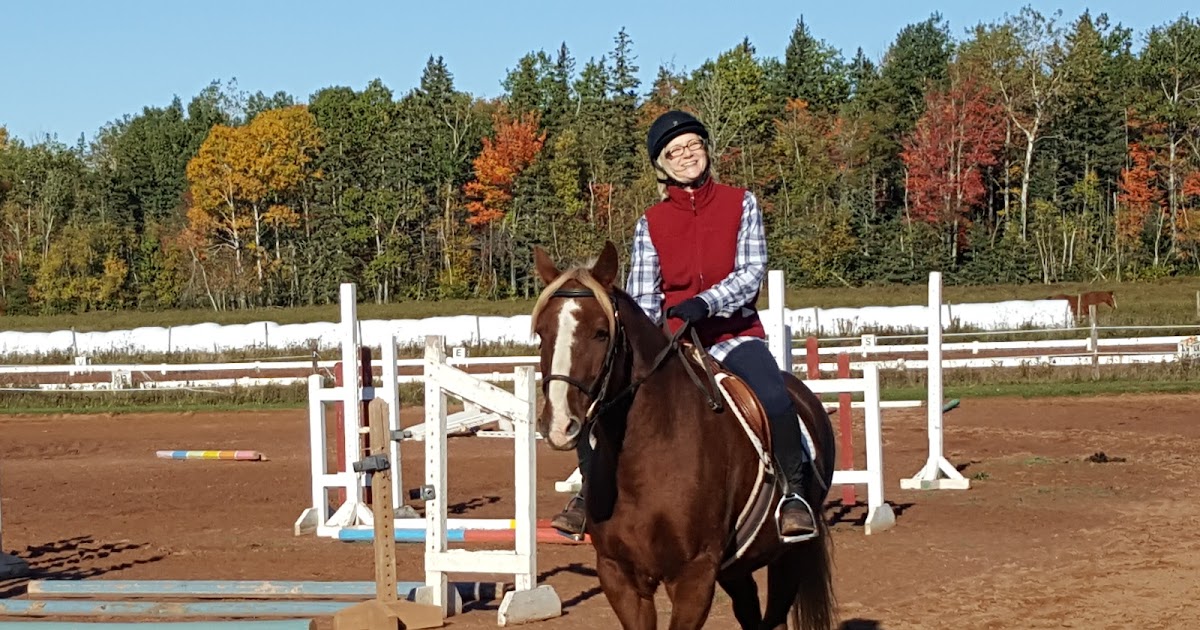 Field Notes ~ Cumberland County, Nova Scotia: Summer of the Horse ...