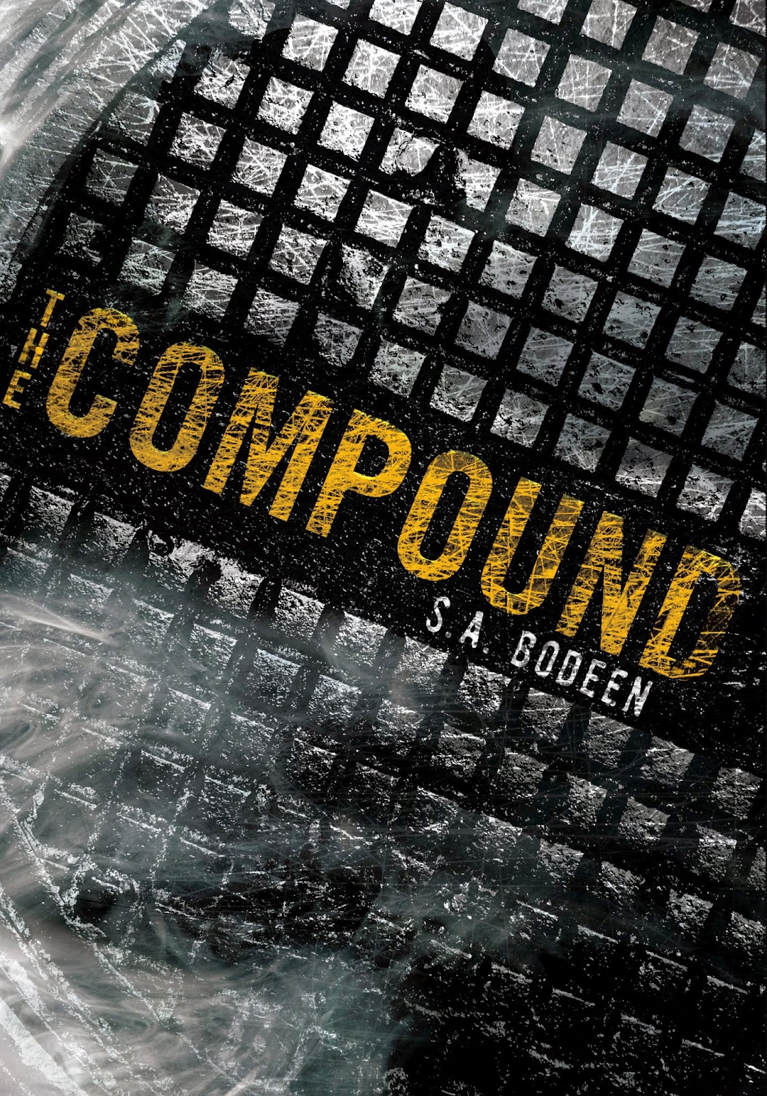 Library Chat with Ms. Pat: 2014