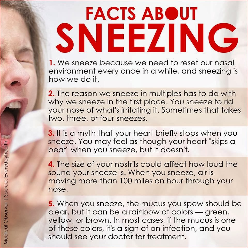 Free Health Tips | Good Nutrition | Healthy Diet Child: Why We Sneeze ...