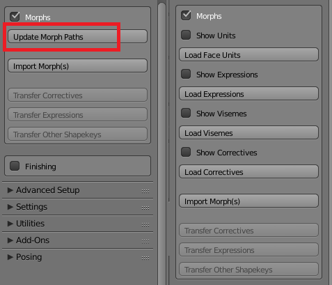 Diffeomorphic: Morphs section