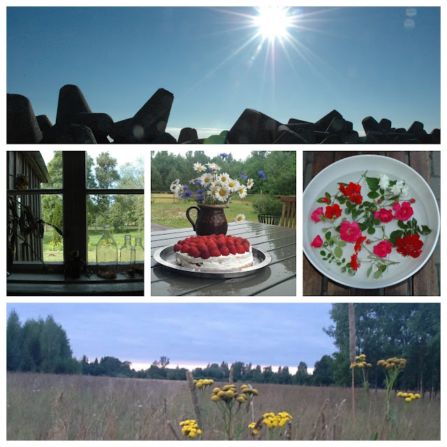 Midsummer Holidays Are Important In Northern Europe - Sweden, Denmark ...