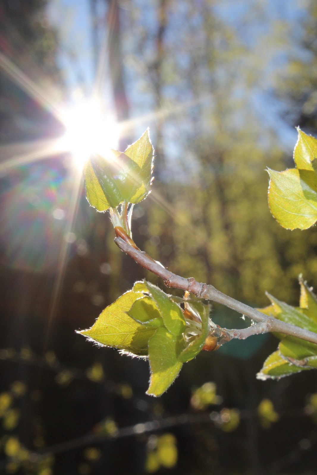 Kate Runs Colorado: Exploring the Cimmaron Range