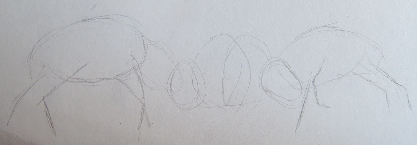 The Autistic Naturalist: How To Draw: Deer