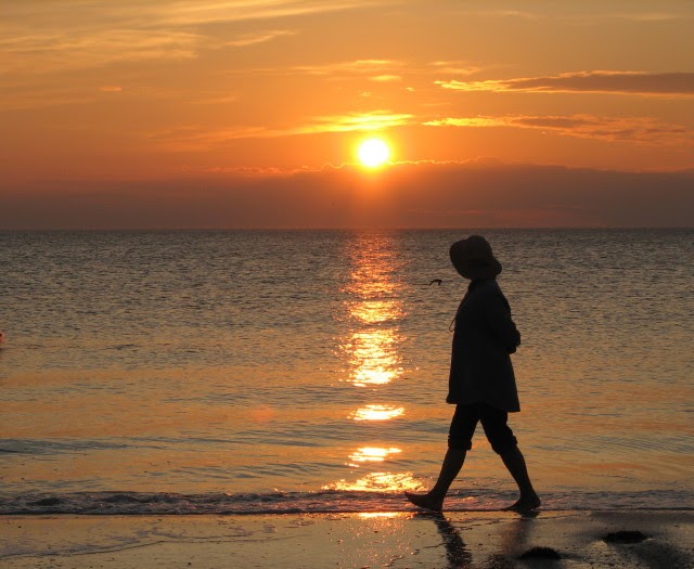 Artist Barbara Rosenzweig's Blog: Art, Gardening, Photography, and ...