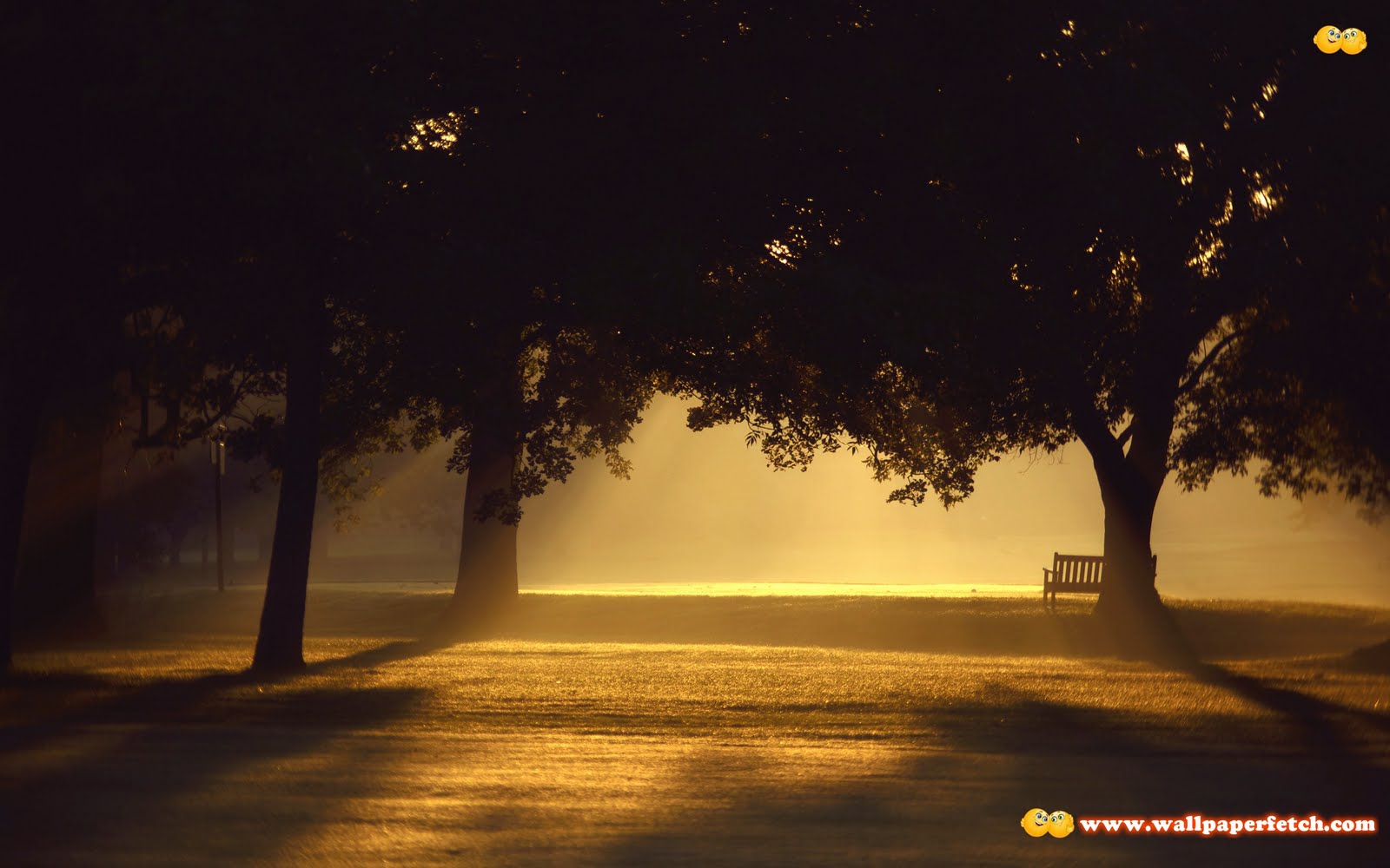 The Wallpapers UK: HD Desktop Wallpapers Pack 81