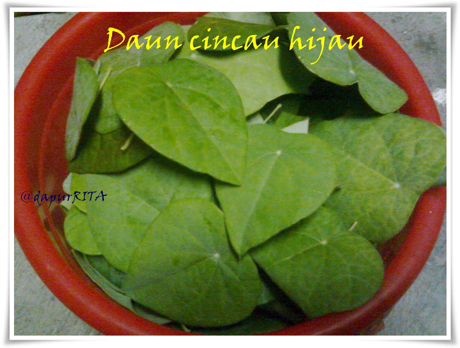 OMAH N A S T A R I: CARA MEMBUAT CINCAU HIJAU