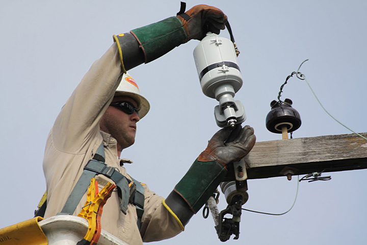 Austin Energy: Squirrels Impact Electric System Reliability in Austin