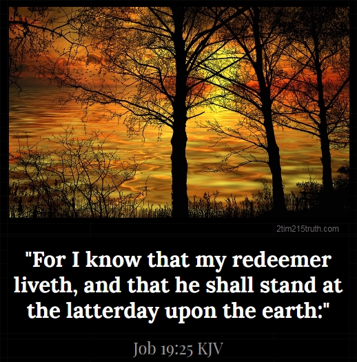 2 Timothy 2:15 Truth: Verse of the Day: Job 19:25 KJV