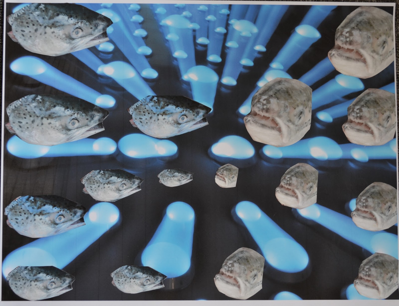 Reflective log Pam Tierney