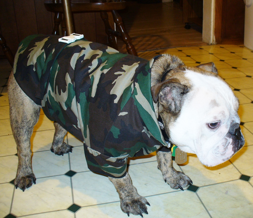 Art and Needlework by Rebekah: 1/16/12: Sewing a U.S. Marine Dog Coat ...