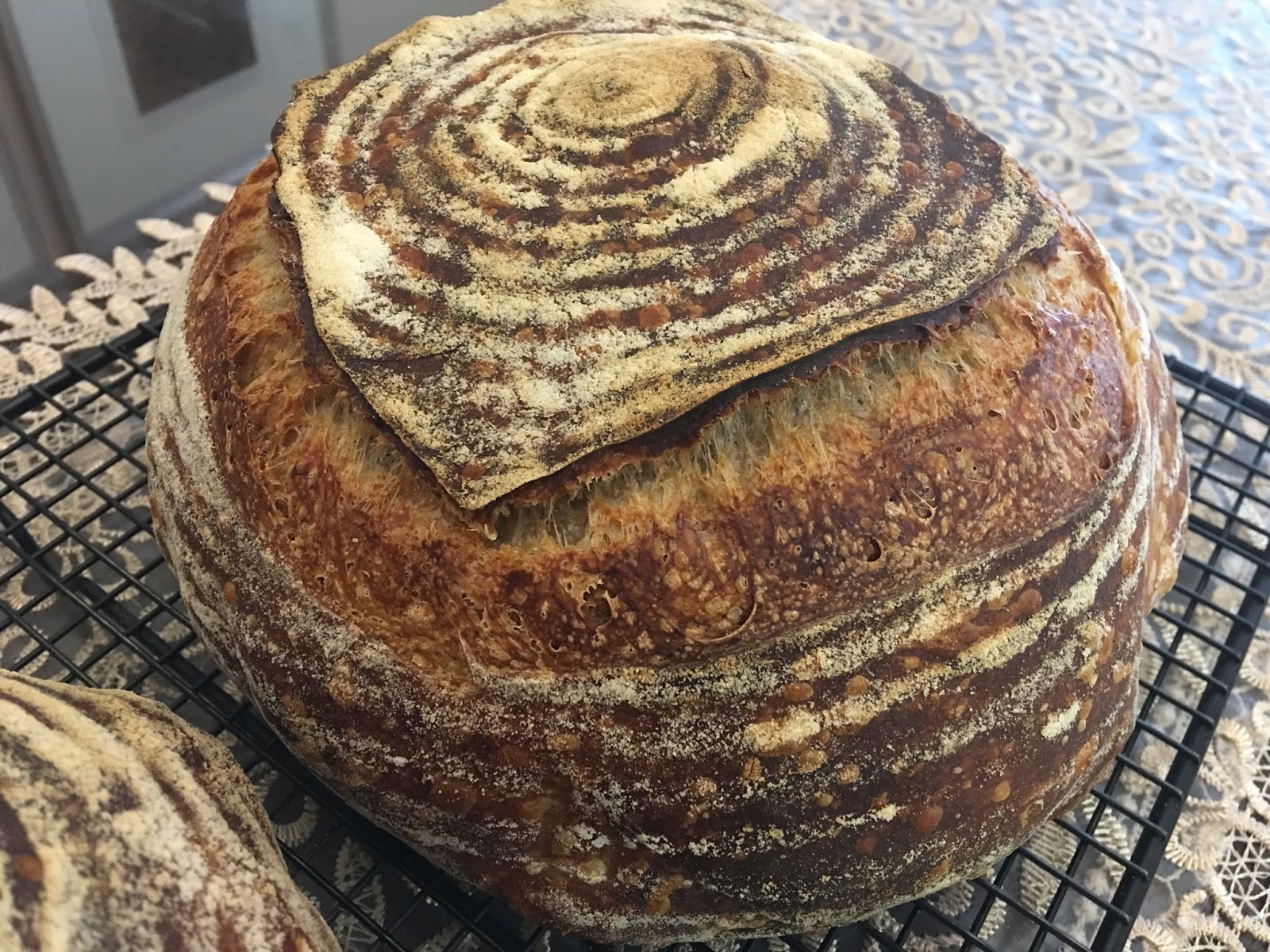 Po Jo's Bread Blog: Pain de Campagne from: "Flour Water Salt Yeast ...