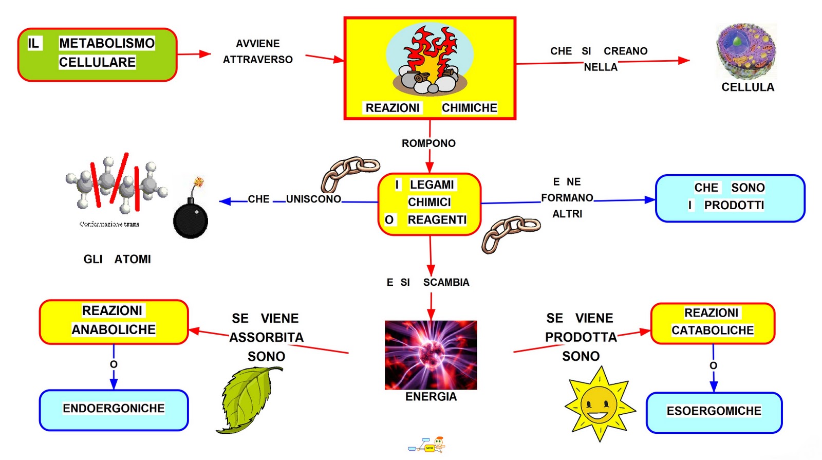 MAPPER: METABOLISMO CELLULARE