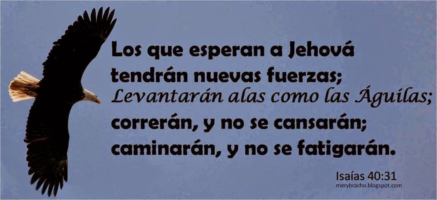 10 MINUTOS CON DIOS: 2014