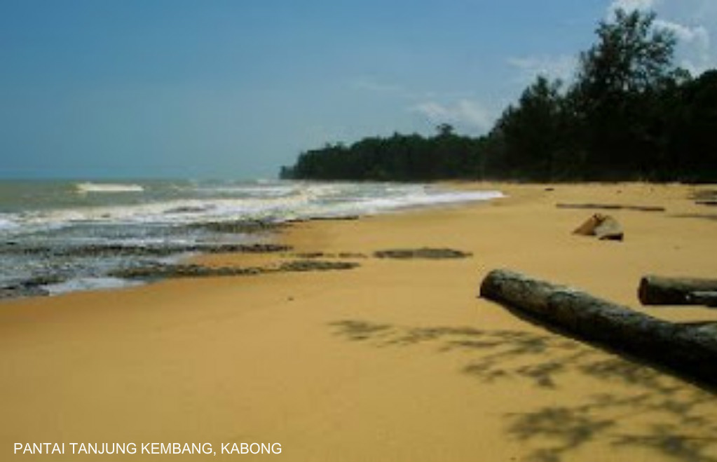 RedParrot: PANTAI TANJUNG KEMBANG, KABONG