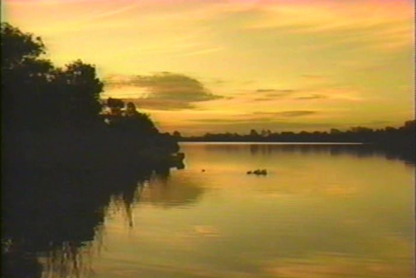 SOV HORROR: Review - Blood Lake (1987)