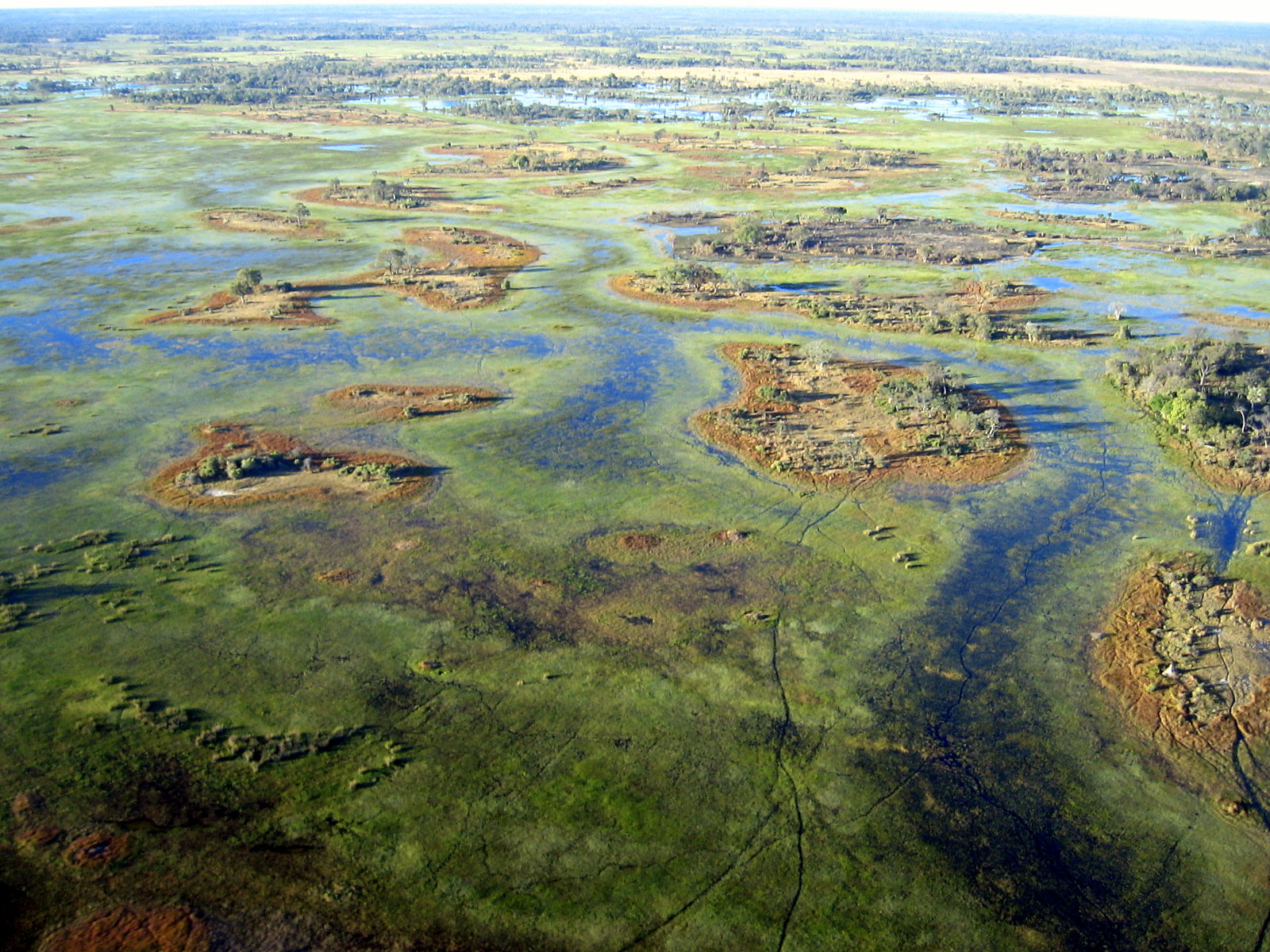 . Roger Browns Art .: Flying around the Okavango Delta
