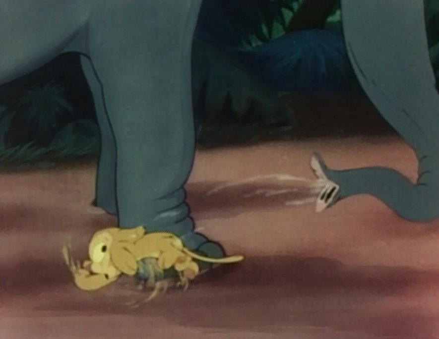 The Lost Continent: Animaland: The Lion