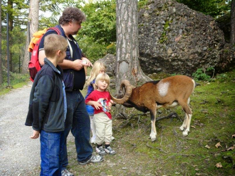 Von Herz und Hand: Tierpark Arth Goldau