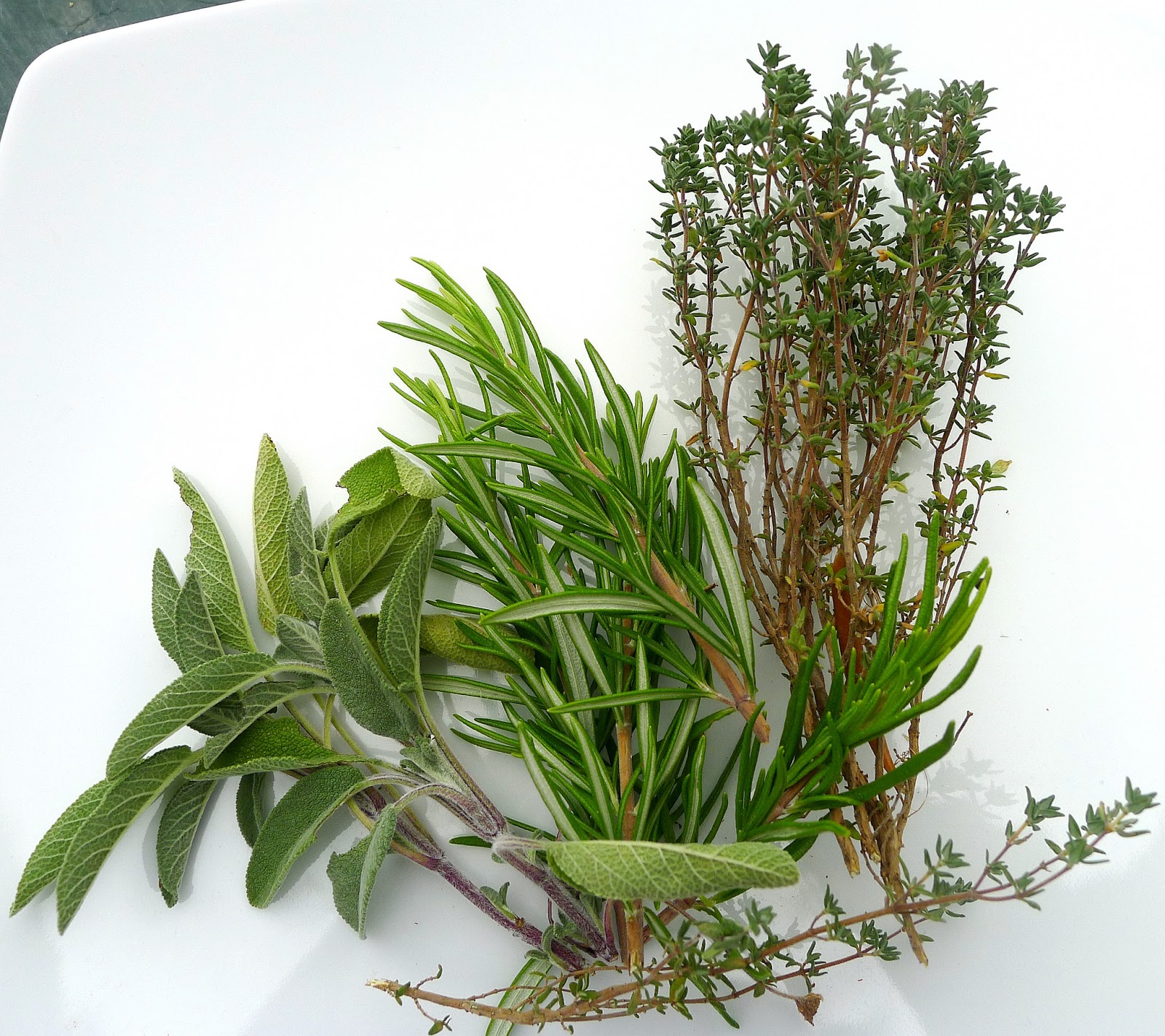 MY KITCHEN IN SPAIN: A PLUMMY GOOD SUMMER