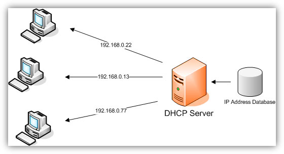 Perbedaan DHCP Server dan DHCP Client | Serasa Lord