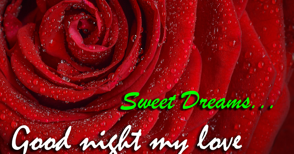 Good Night My Love Roses