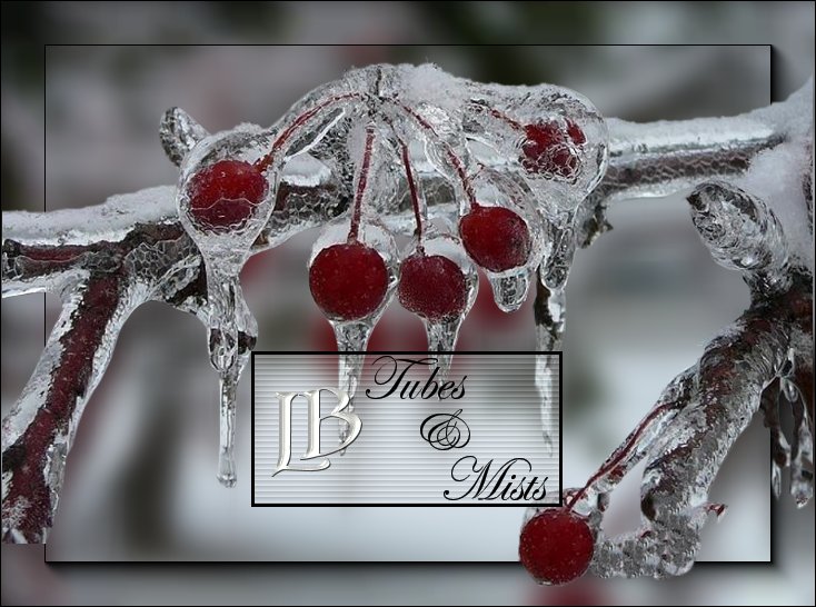 LB TUBES & MISTS: STILL LIFE